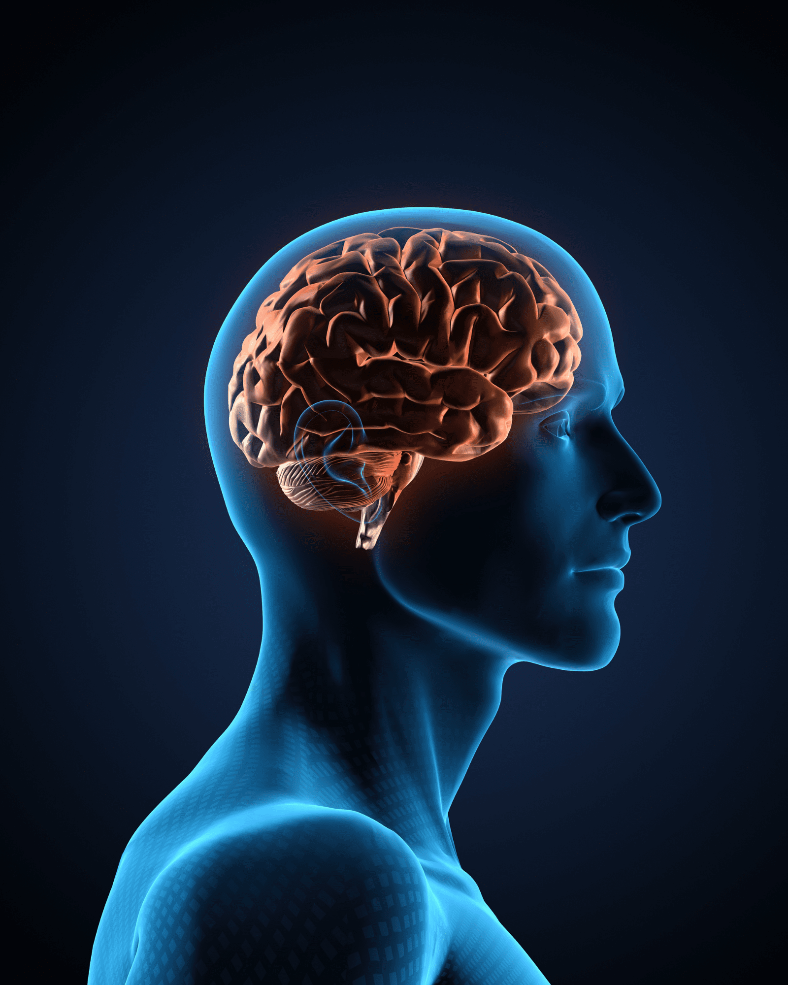 Dr Timothy Steel Neurosurgeon and Spine Surgeon